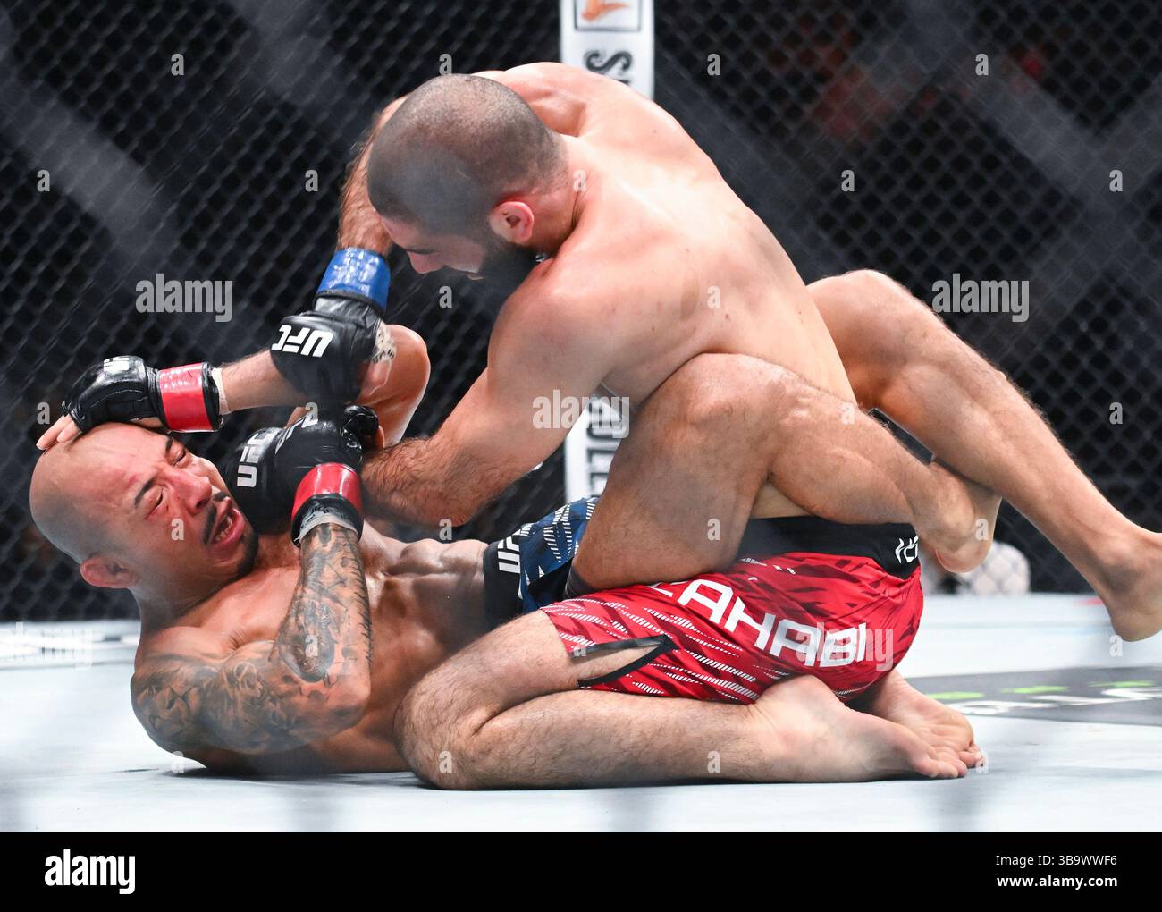 Aiemann Zahabi, top, punches Jose Aldo, bottom, during their UFC 315 ...