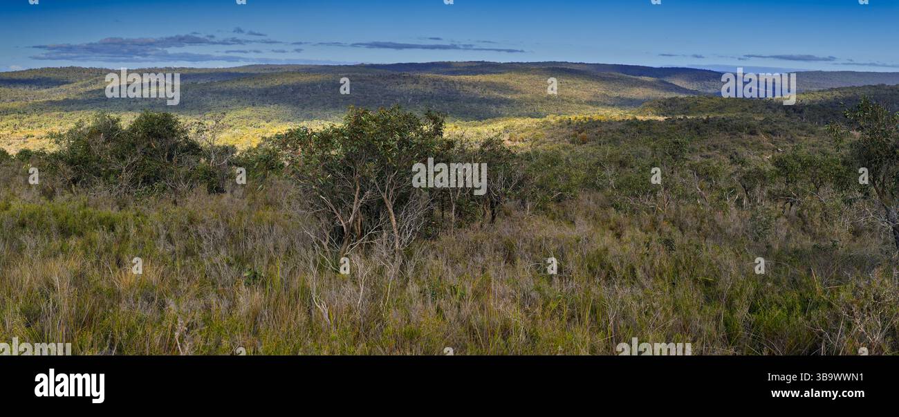 Panorama of dappled morning light over grassland heath on the Yan ...