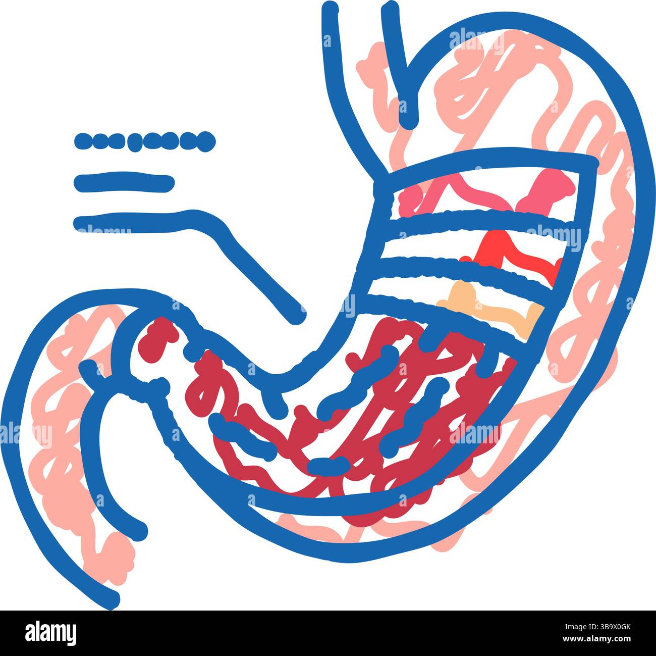 stomach anatomy gastroenterologist icon doodle illustration Stock ...