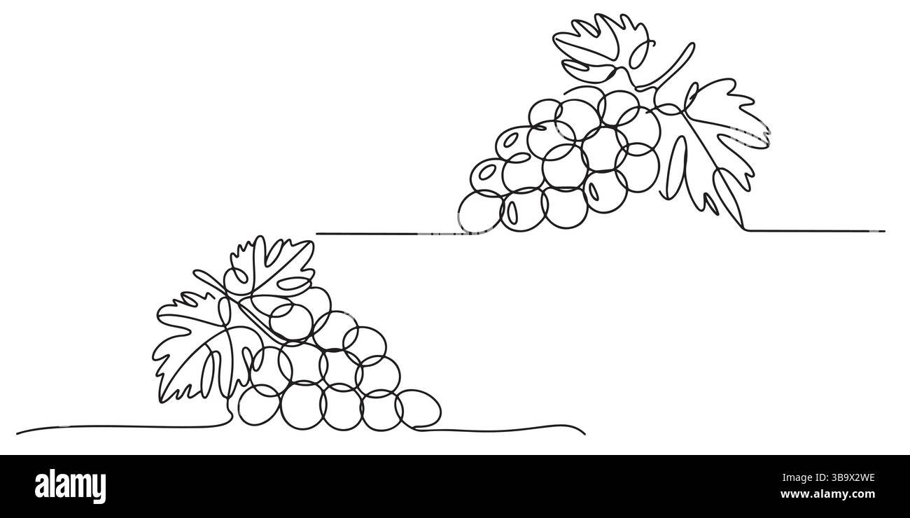 Fruit line drawing hi-res stock photography and images - Alamy