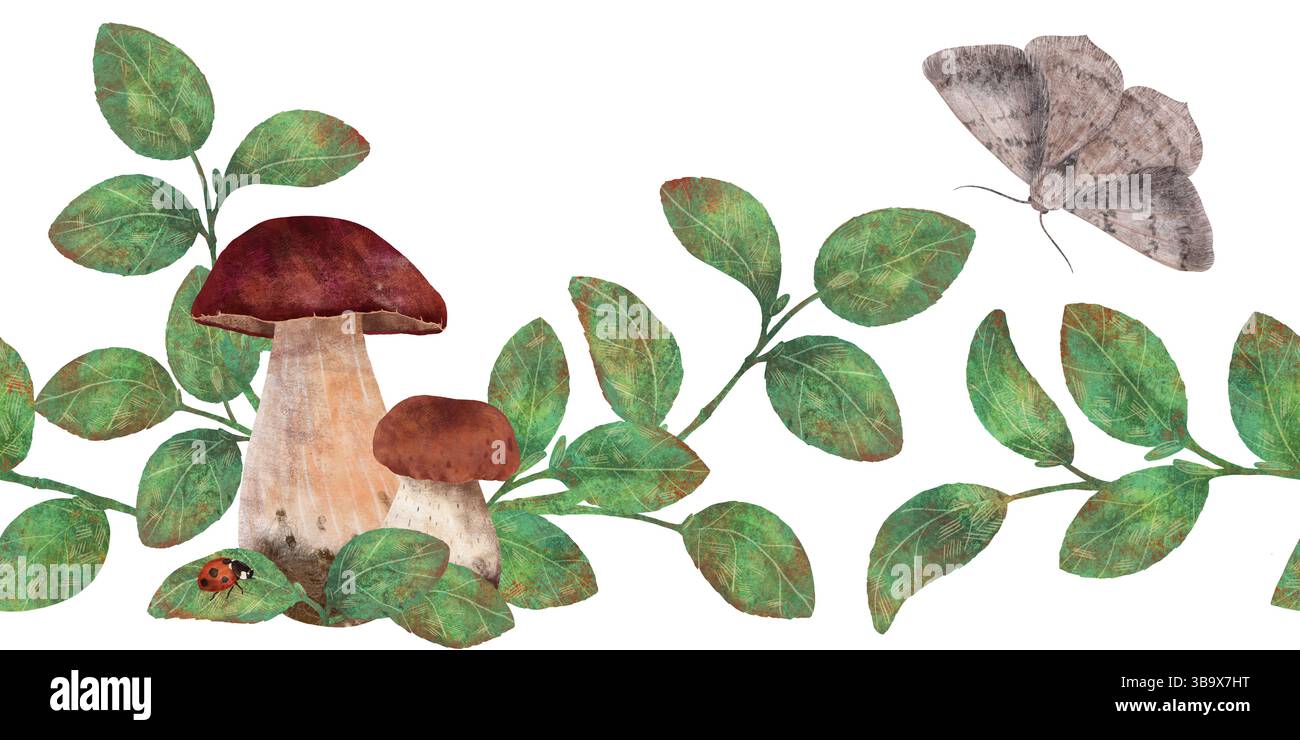 Seamless border, edible mushrooms, twigs, leaves, moth, butterfly ...