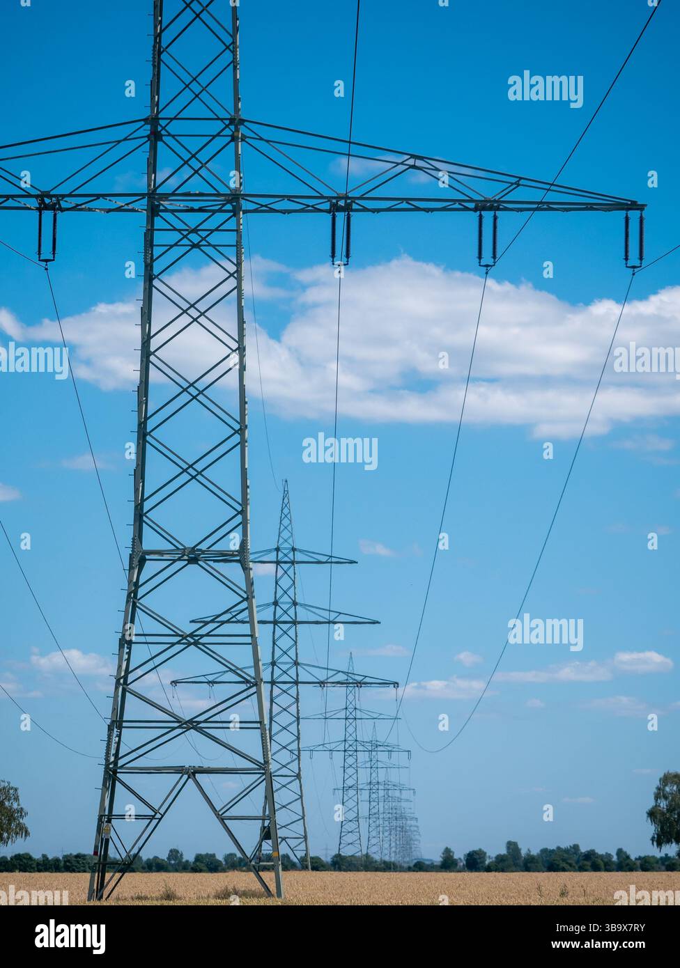 Tall power towers are lined up across a wide field under a bright blue ...