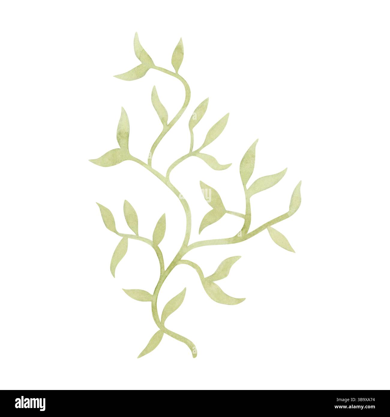 Simple liana vine watercolor illustration isolated on white. Minimalist ...