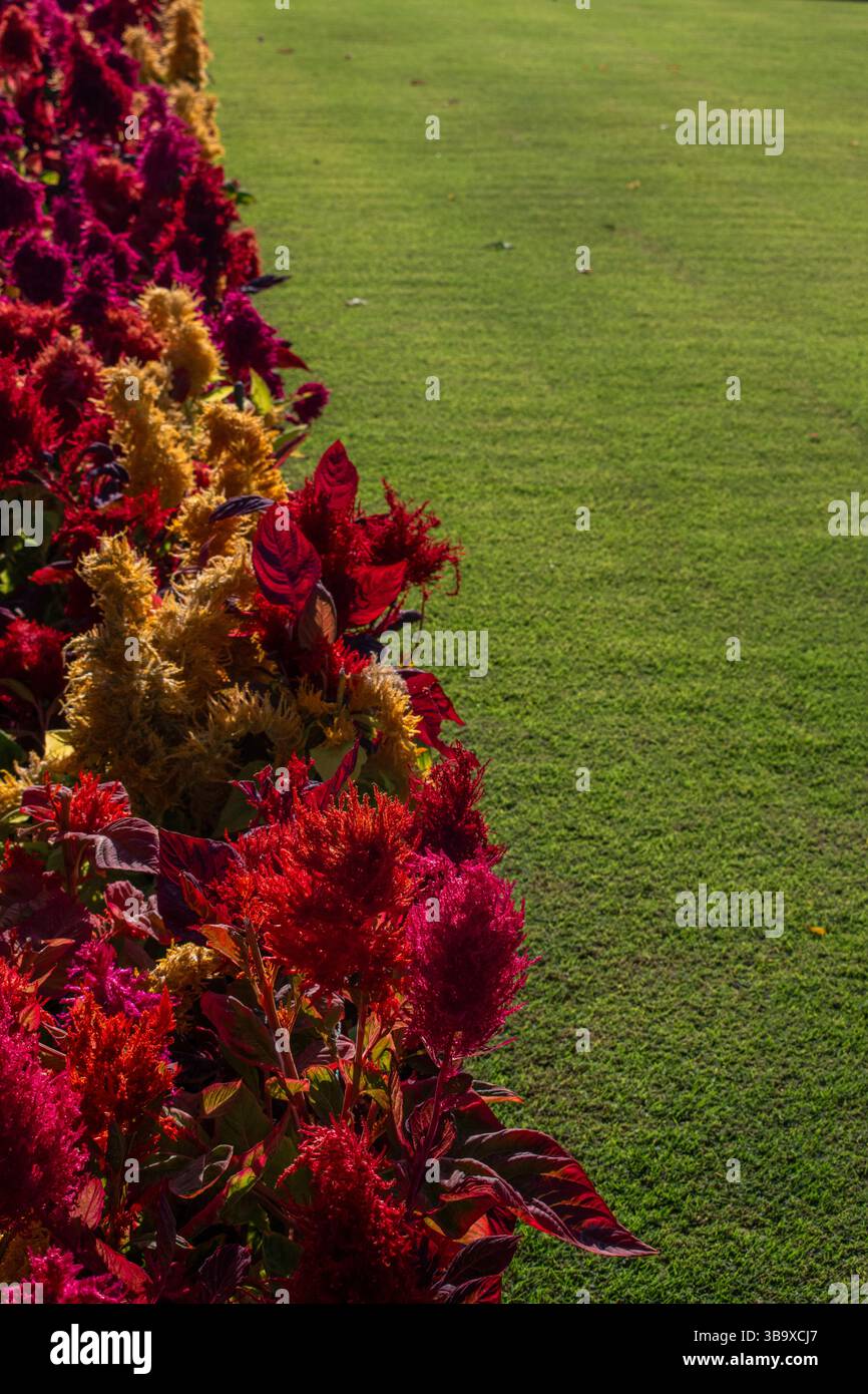 Old Muscat, Oman: details of the gardens of Al Alam Palace (Palace of ...