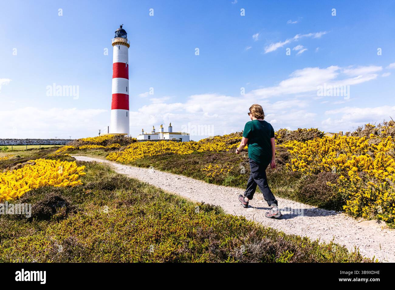 Portmahomack, United Kingdom. 10 May, 2025 Pictured: The Tarbat Ness ...
