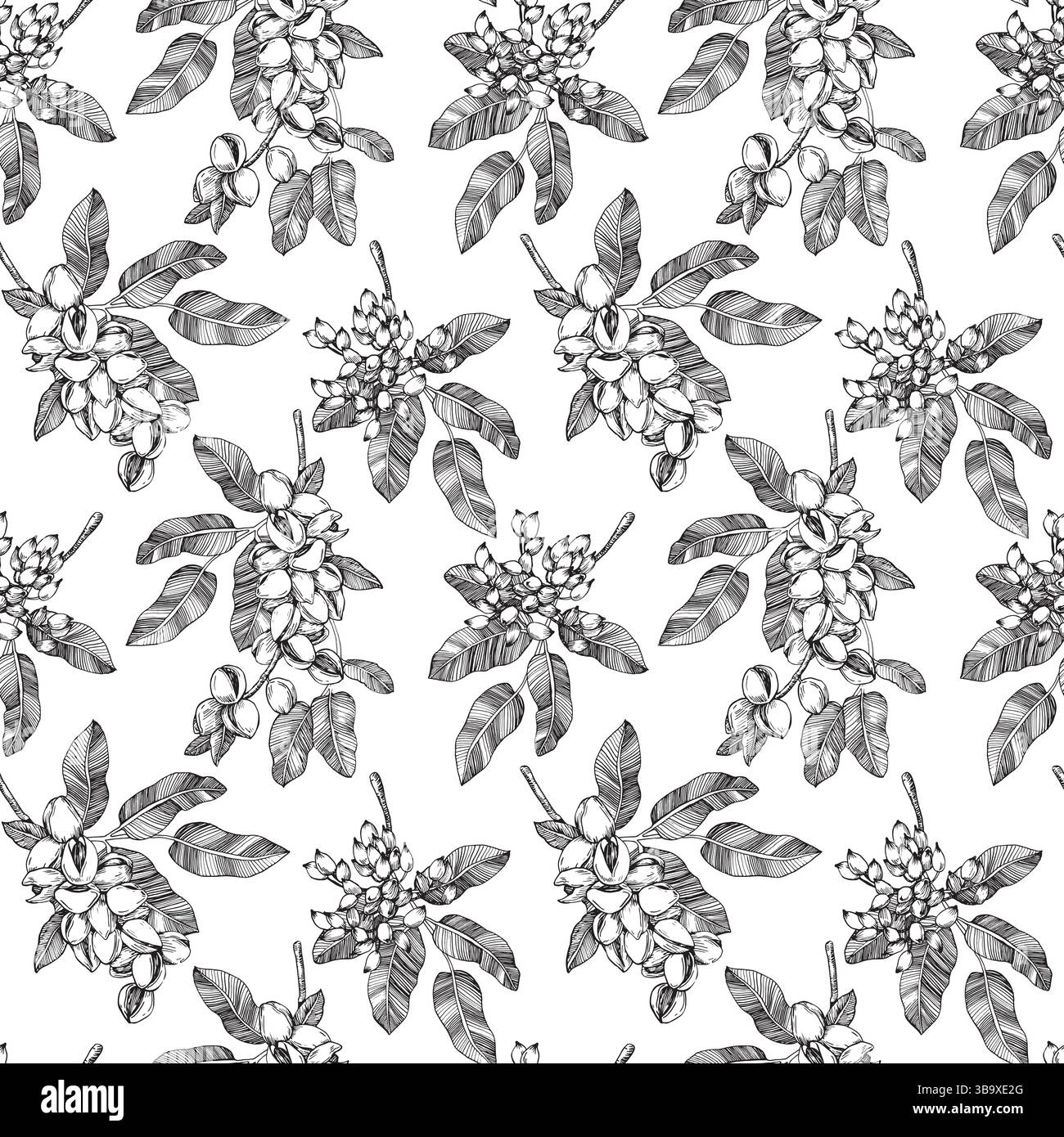 Seamless vector pattern with hand drawn ink pistachio nuts and leaves ...