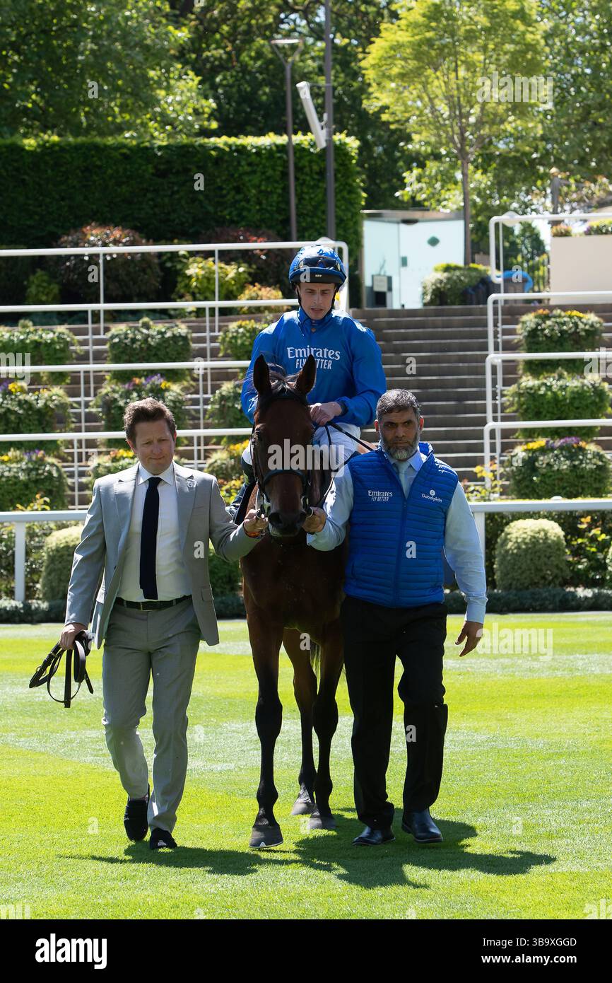 Military code horse hi-res stock photography and images - Alamy