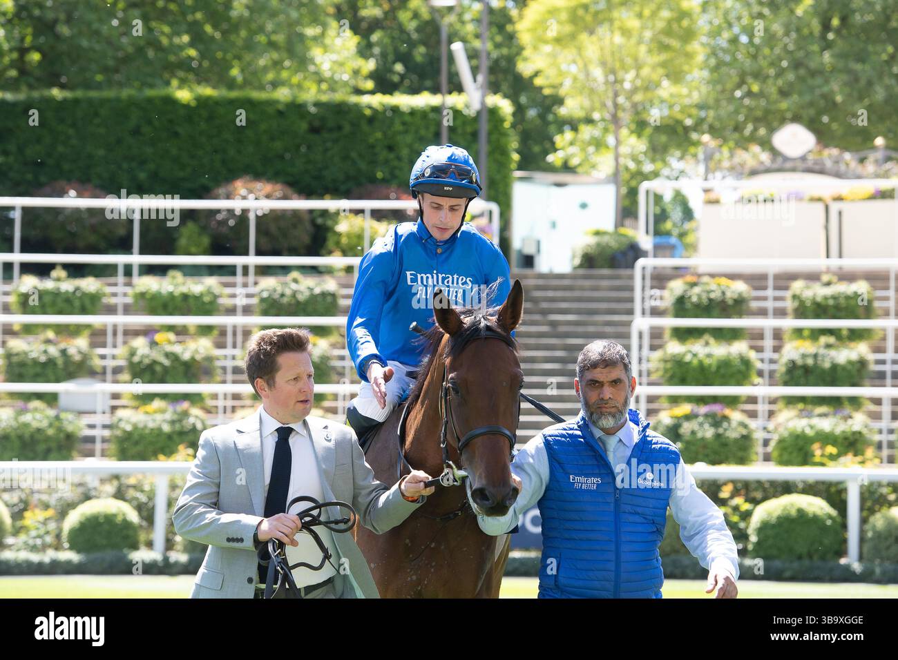 Military code horse hi-res stock photography and images - Alamy