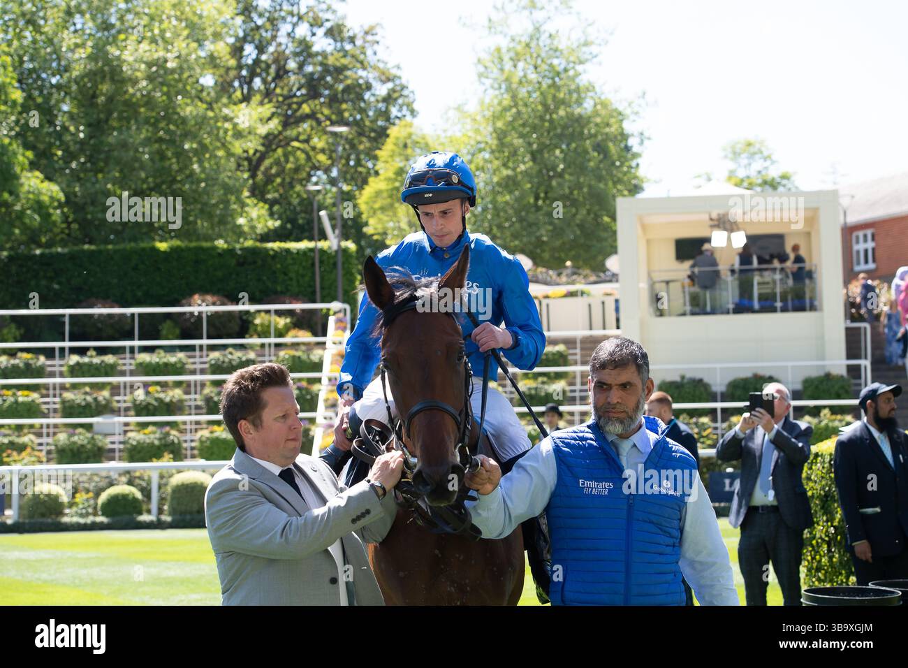 Military code horse hi-res stock photography and images - Alamy