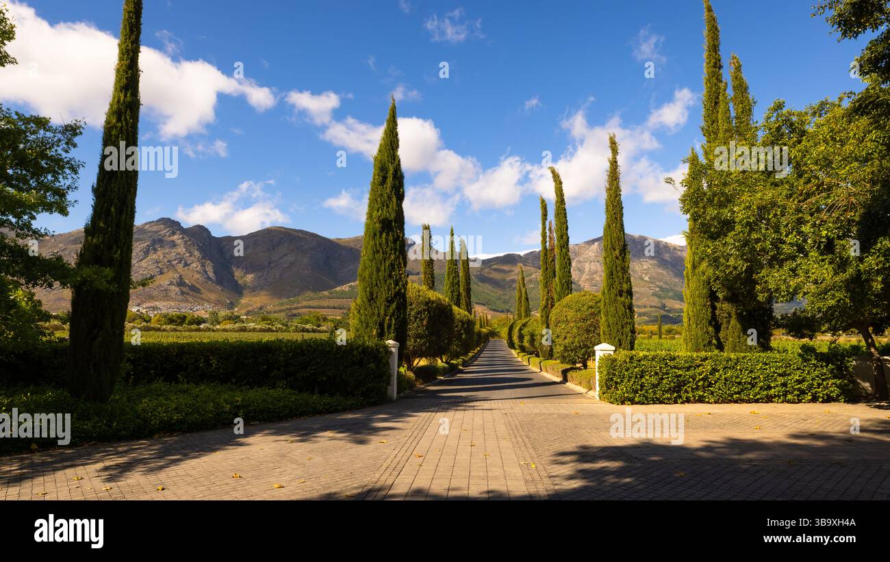 Grande Provence Wine Estate, Franschhoek, South africa Stock Photo - Alamy