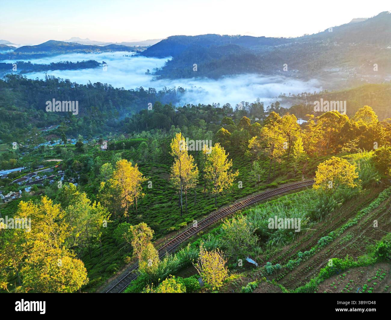 Haputhale in sri lanka hi-res stock photography and images - Alamy