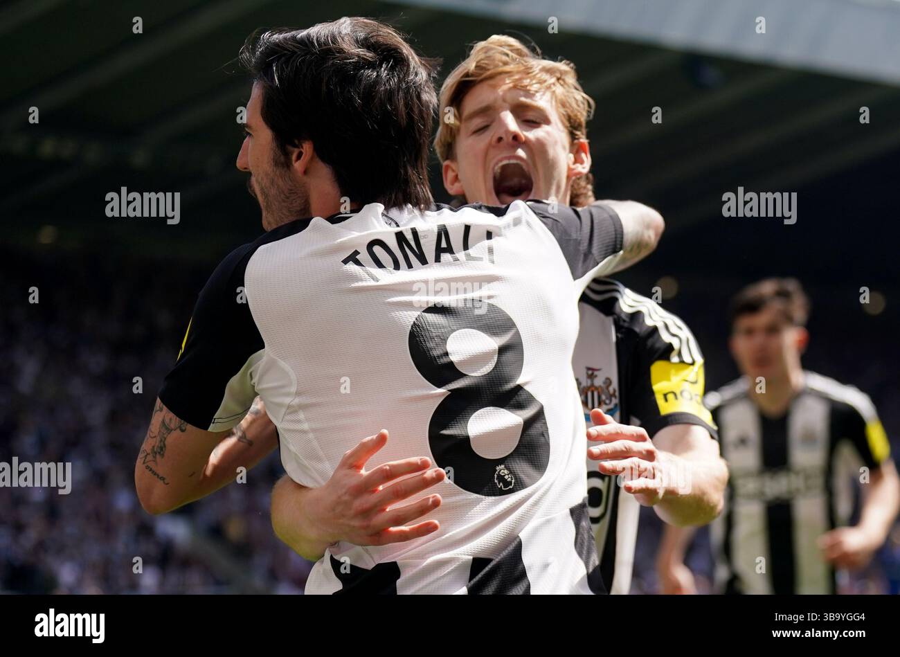 Newcastle United's Sandro Tonali celebrates scoring their side's first ...