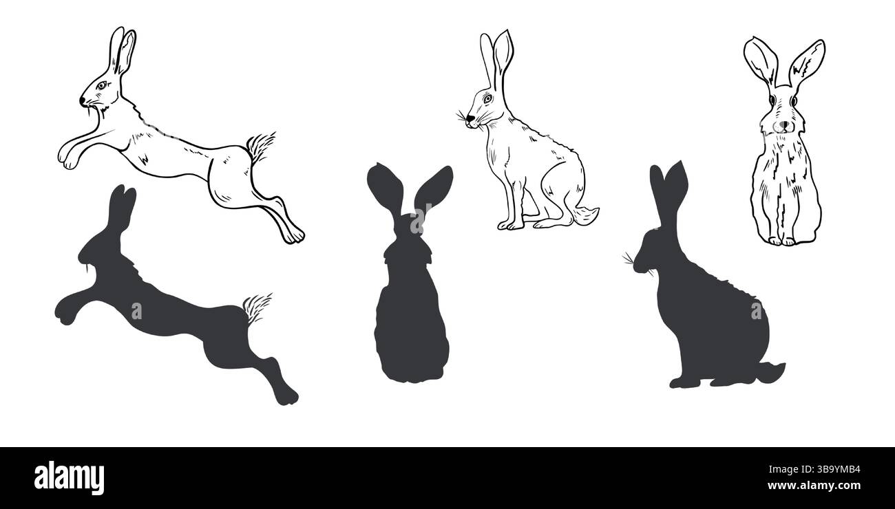 Hare hand drawn black white outline vector set illustration. Forest ...