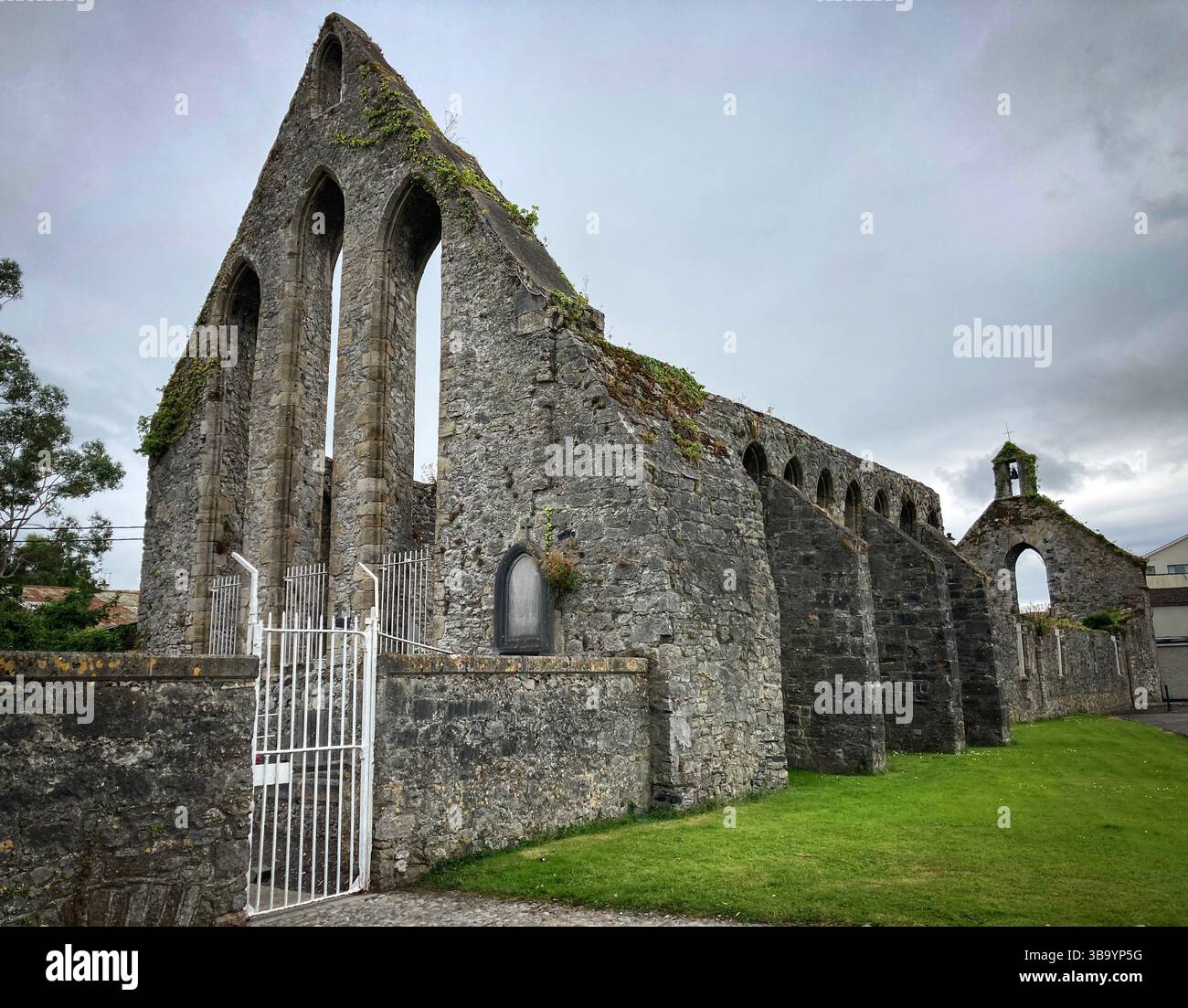 Ruins of The Franciscan Friary in Nenagh founded by Donal Ó Cinnéide ...