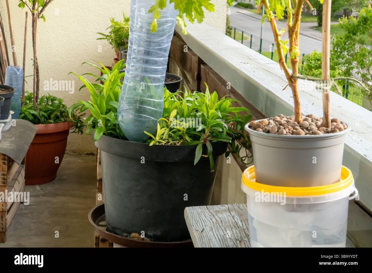 Smart drip irrigation system hi-res stock photography and images - Alamy