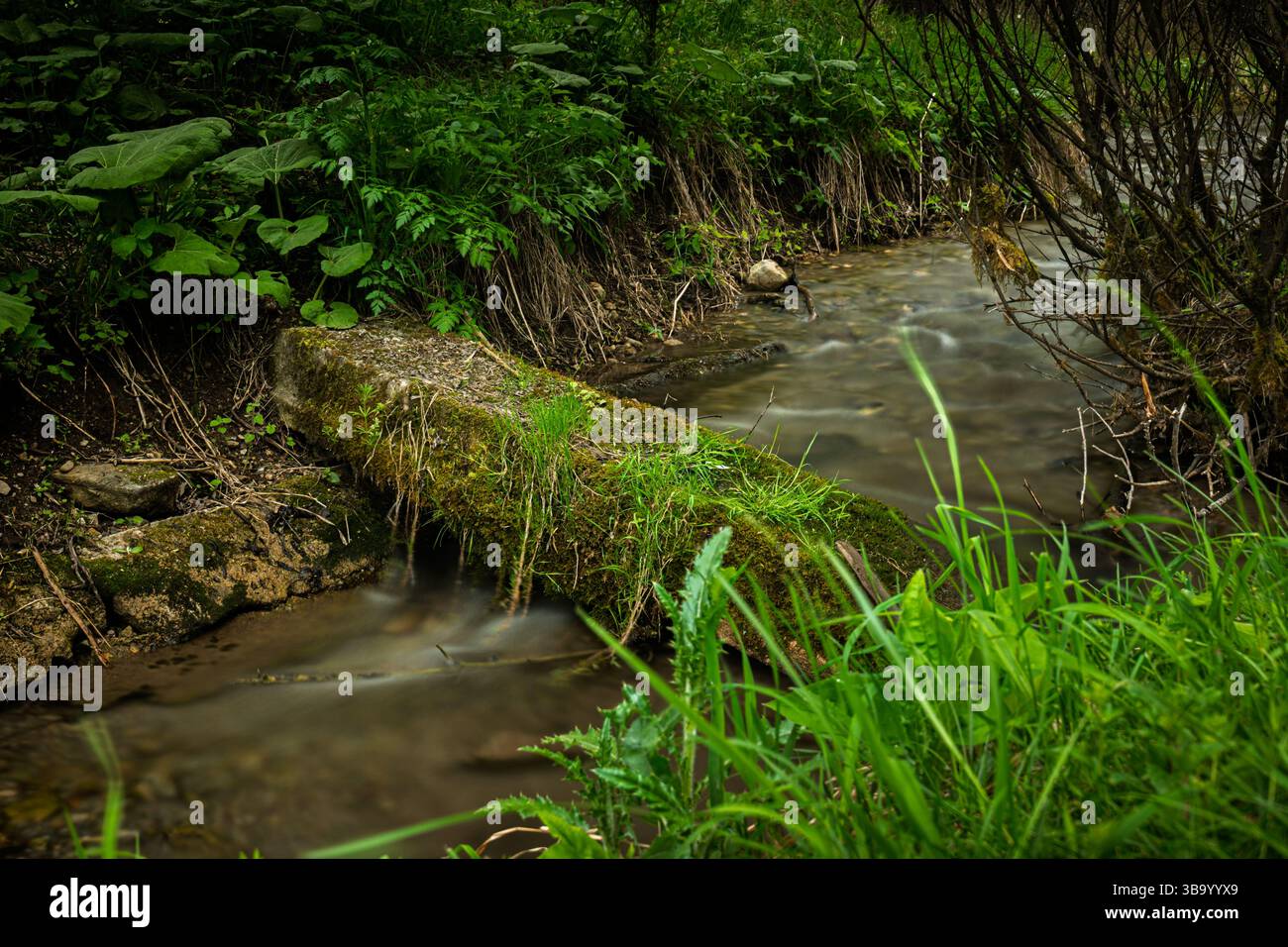 Moss covered concrete slab hi-res stock photography and images - Alamy