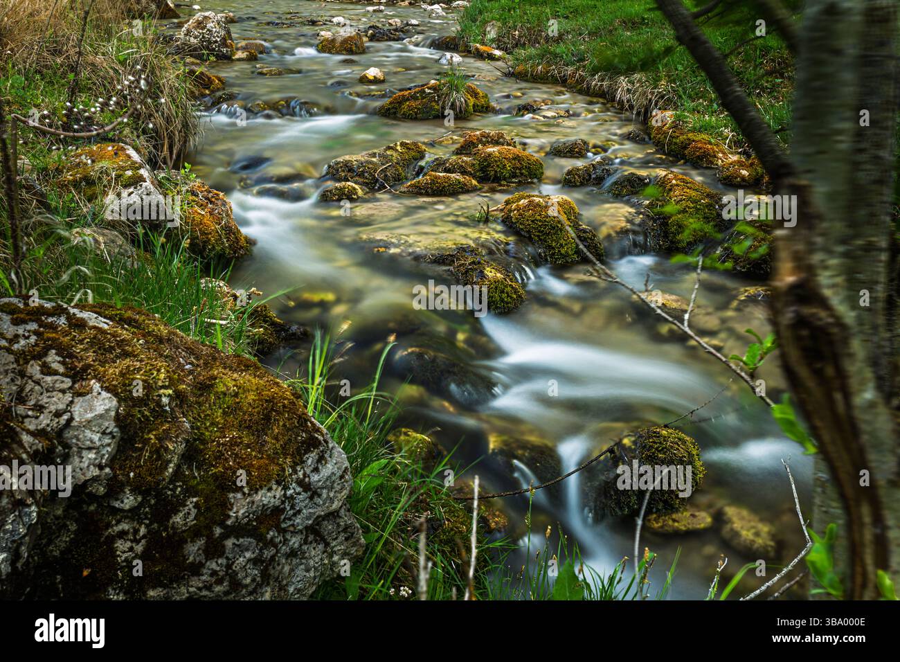 Long exposure view of a forest stream in the woods Stock Photo - Alamy