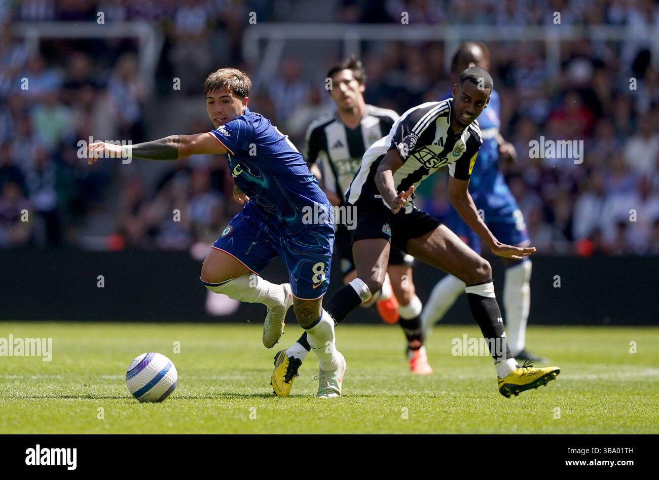 Newcastle United's Alexander Isak (right) and Chelsea's Enzo Fernandez ...
