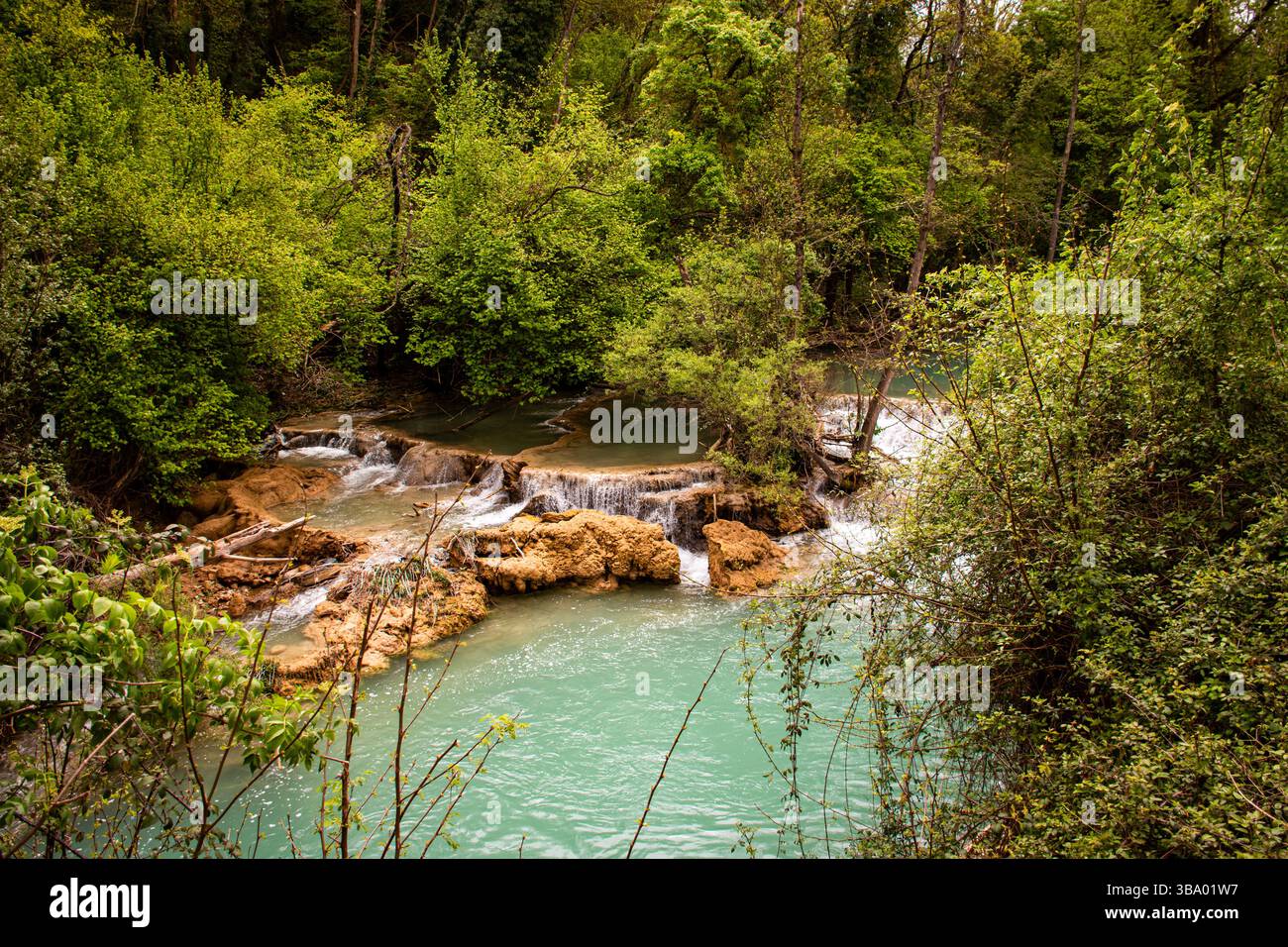 A turquoise river flowing through lush trees in a dense forest. A ...