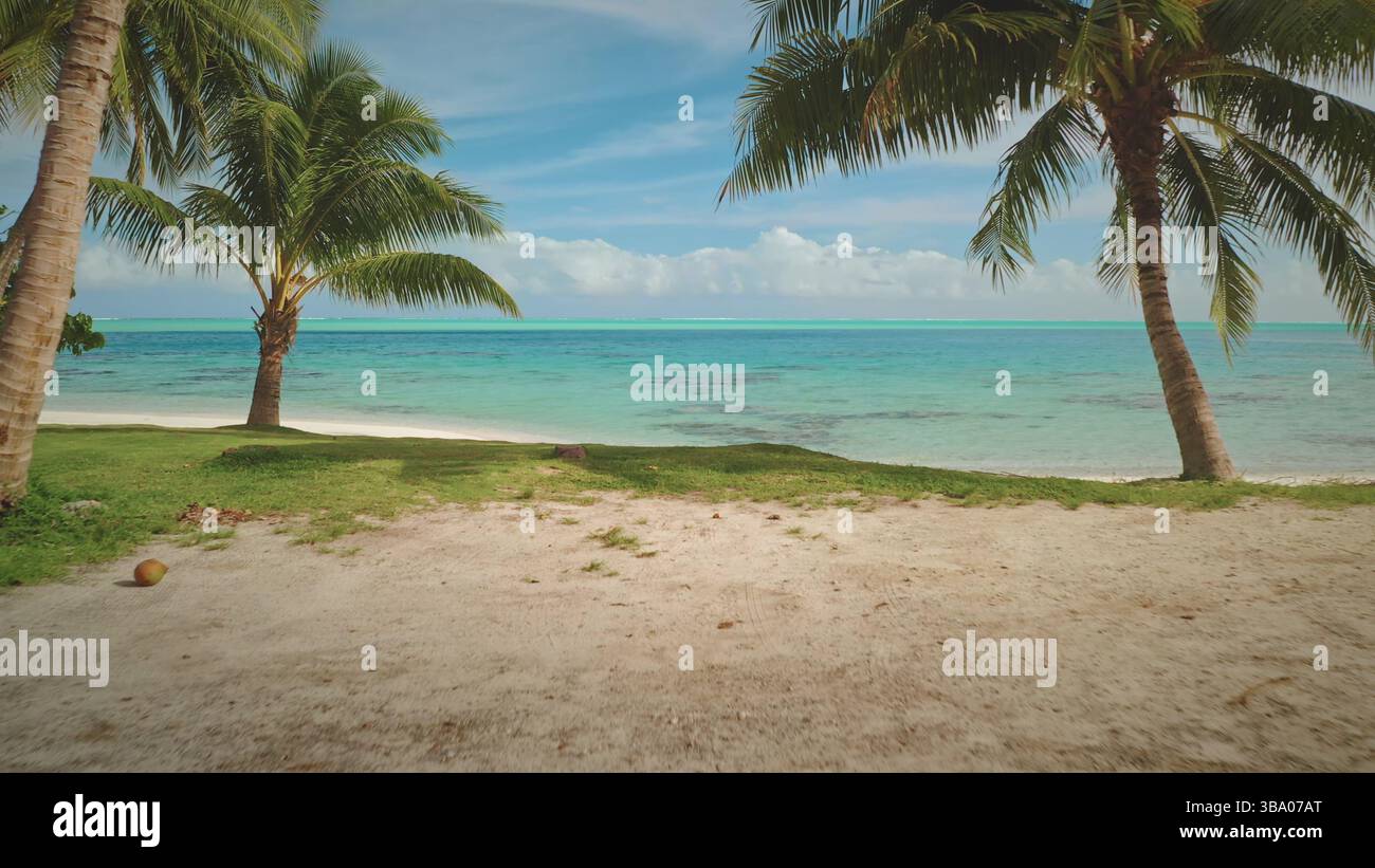 Palm trees. Beach. And crystal-clear shallow water gradually transition ...