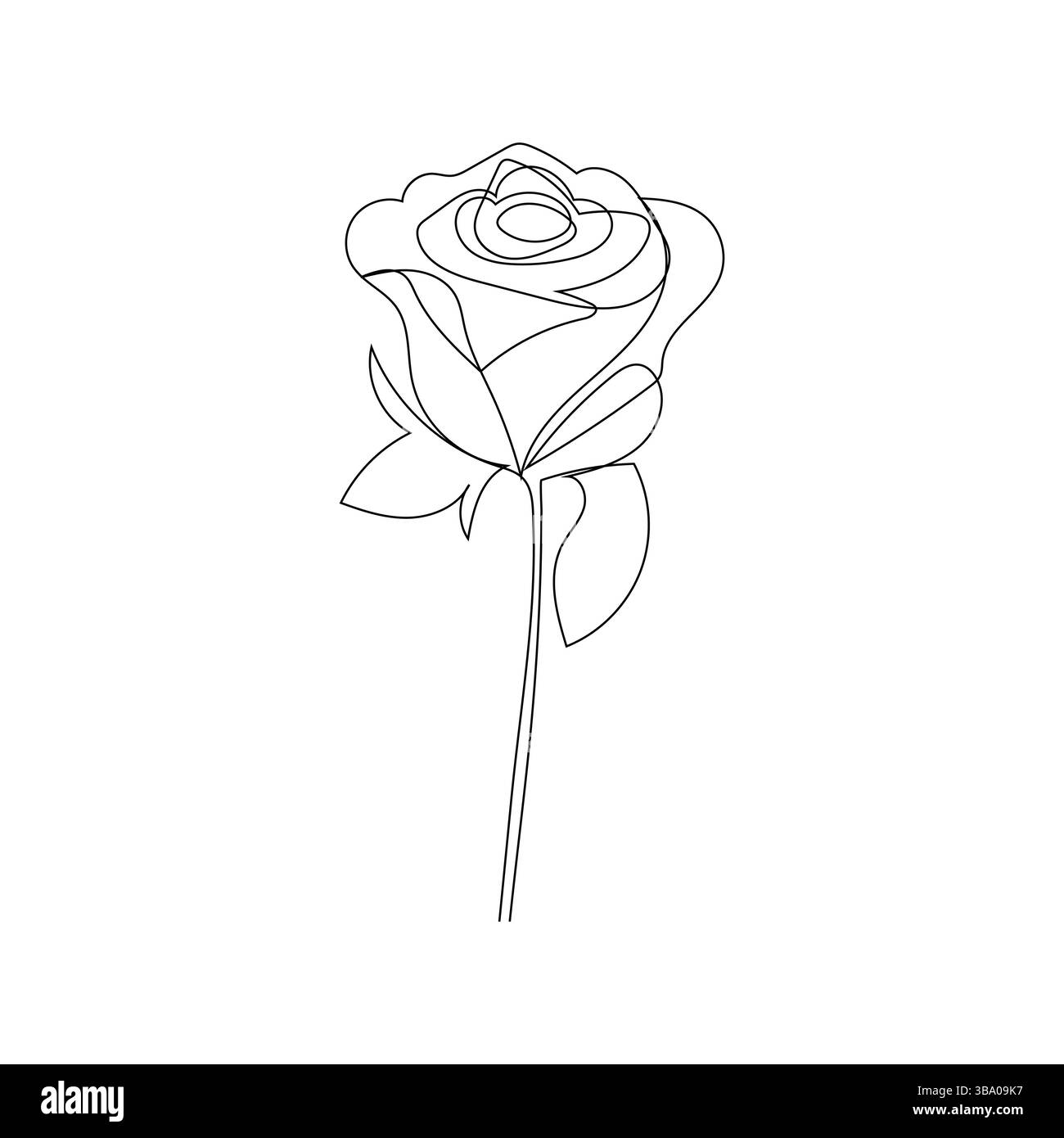 Rose flower continuous single line art drawing of concept doodle style outline vector icon Stock ...