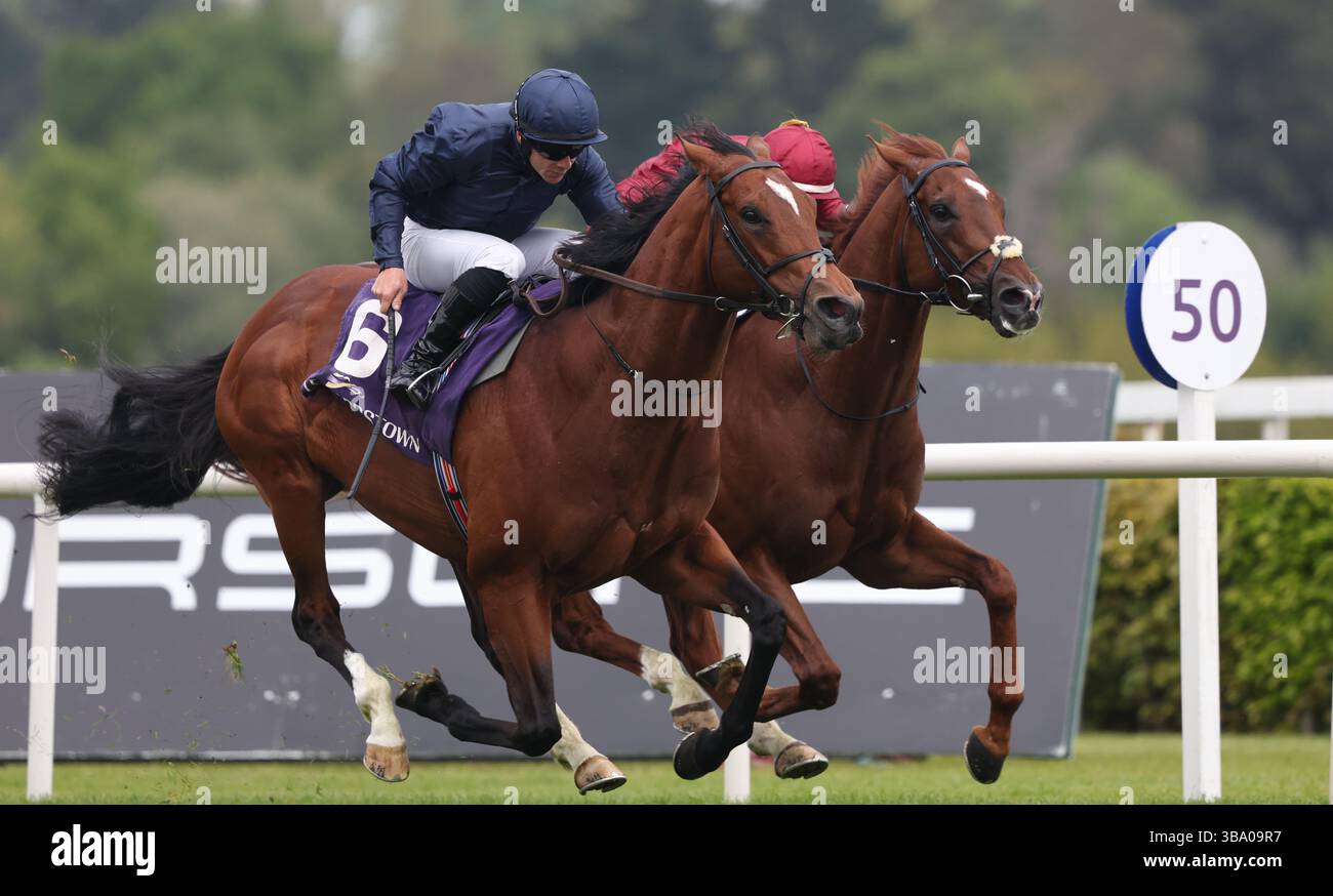 Roosevelt ridden by Wayne Lordan on their way to win the Captain Dara ...