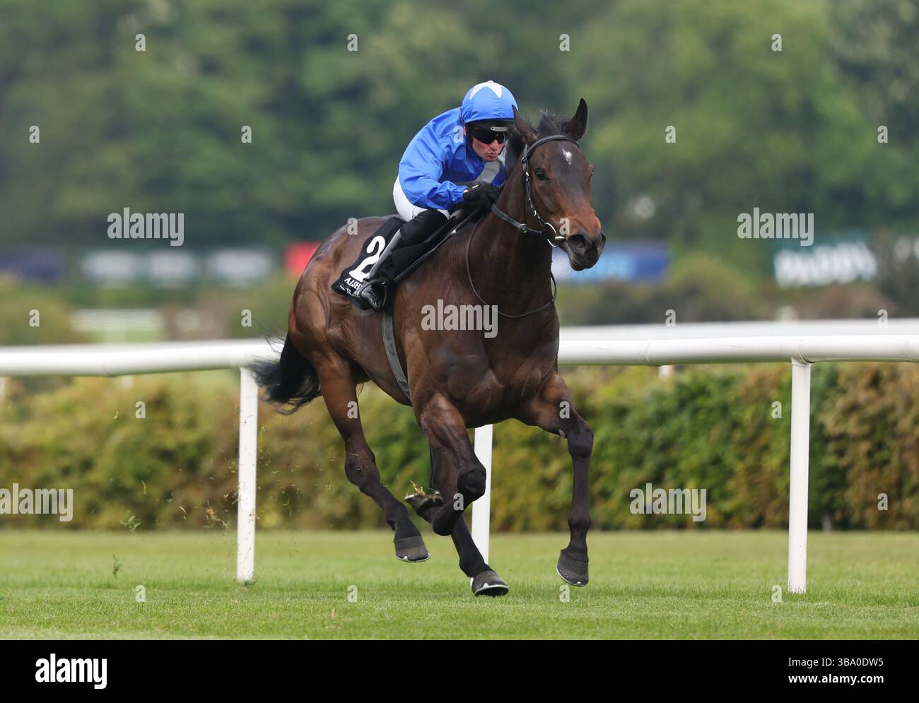 Vera's Secret ridden by Seamie Heffernan after winning the Al Shira'aa ...