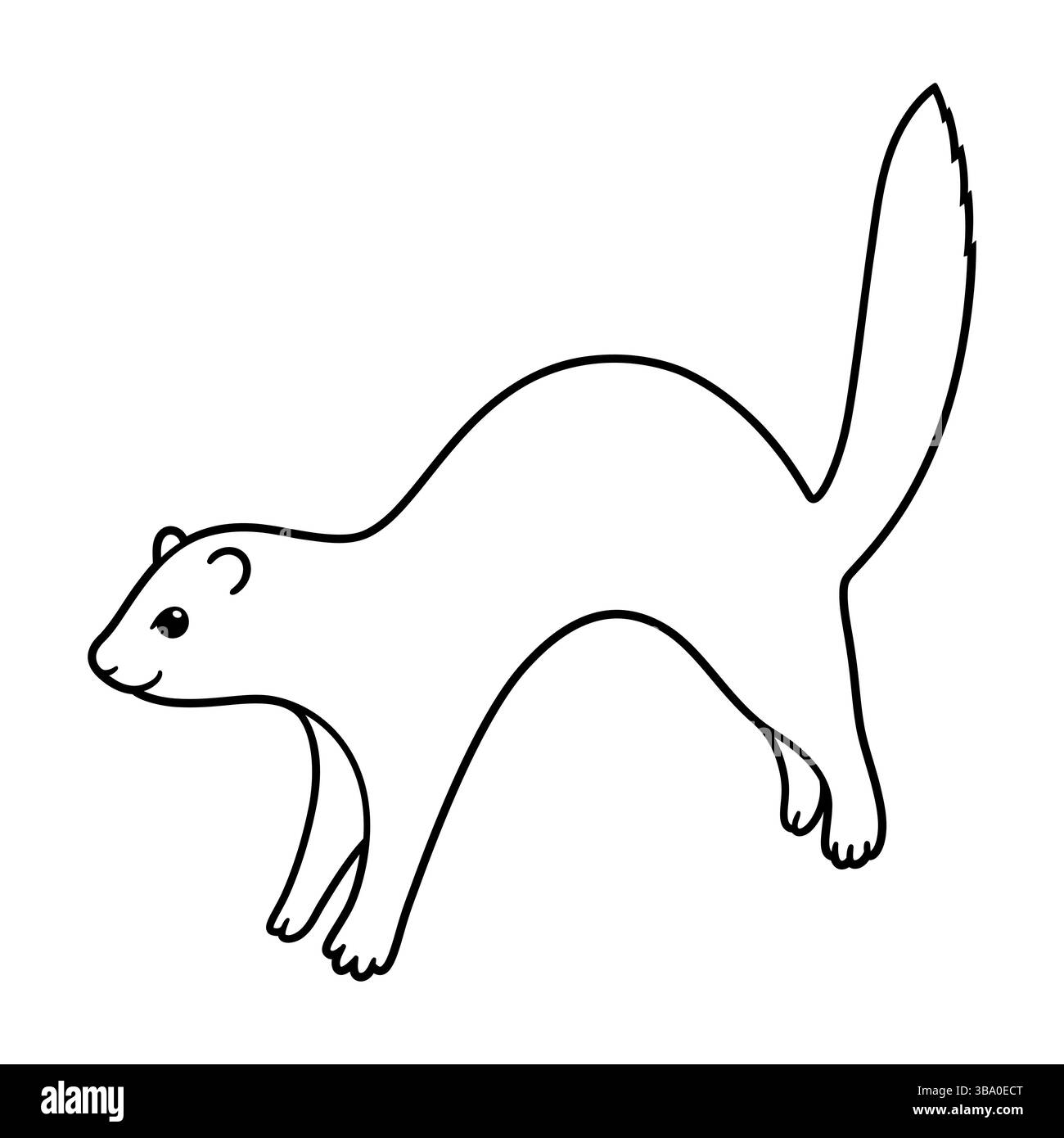 Funny playful jumping ferret drawing, black and white line art ...