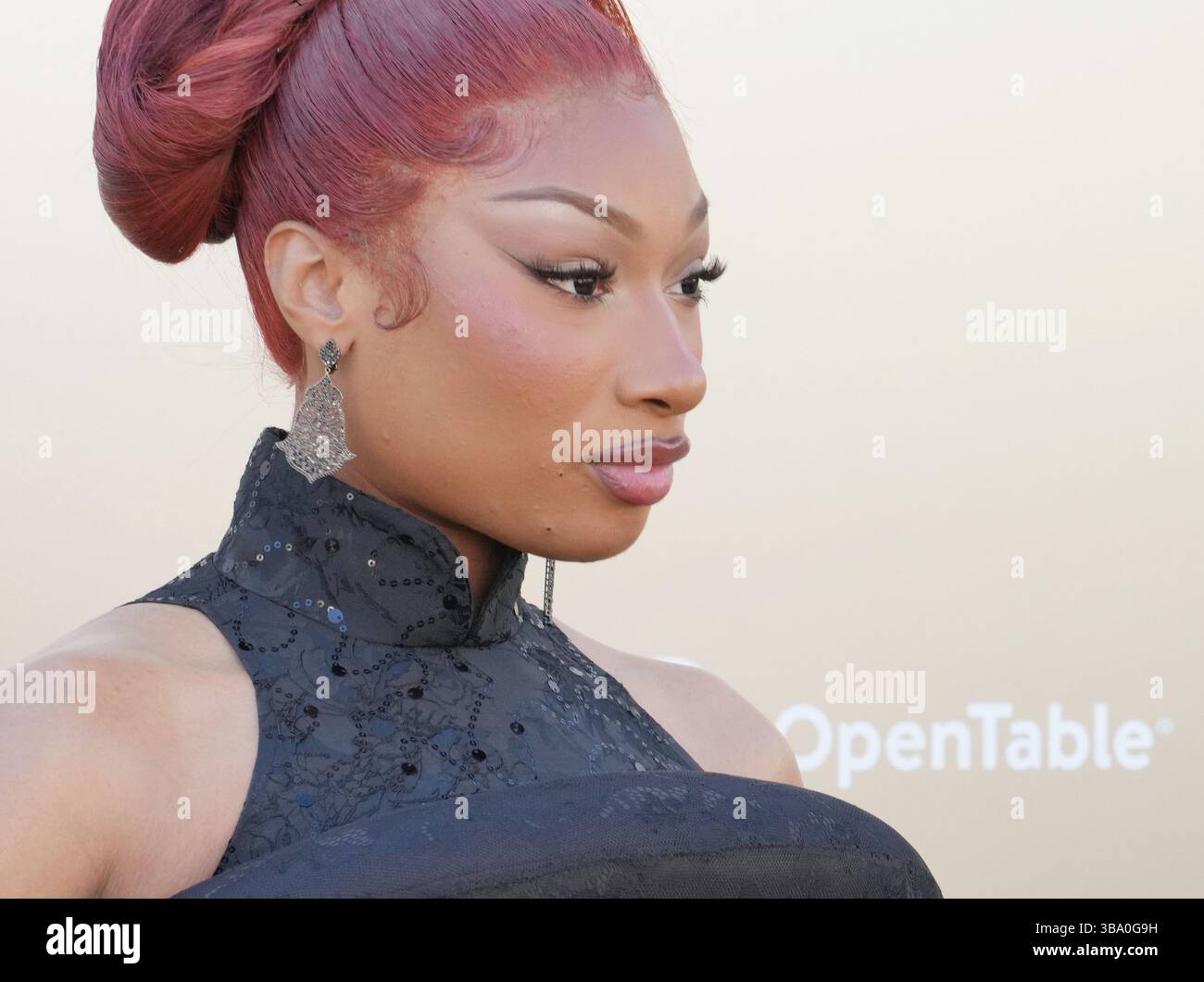 Megan Thee Stallion arrives at the Gold House 4th Annual GOLD GALA held ...