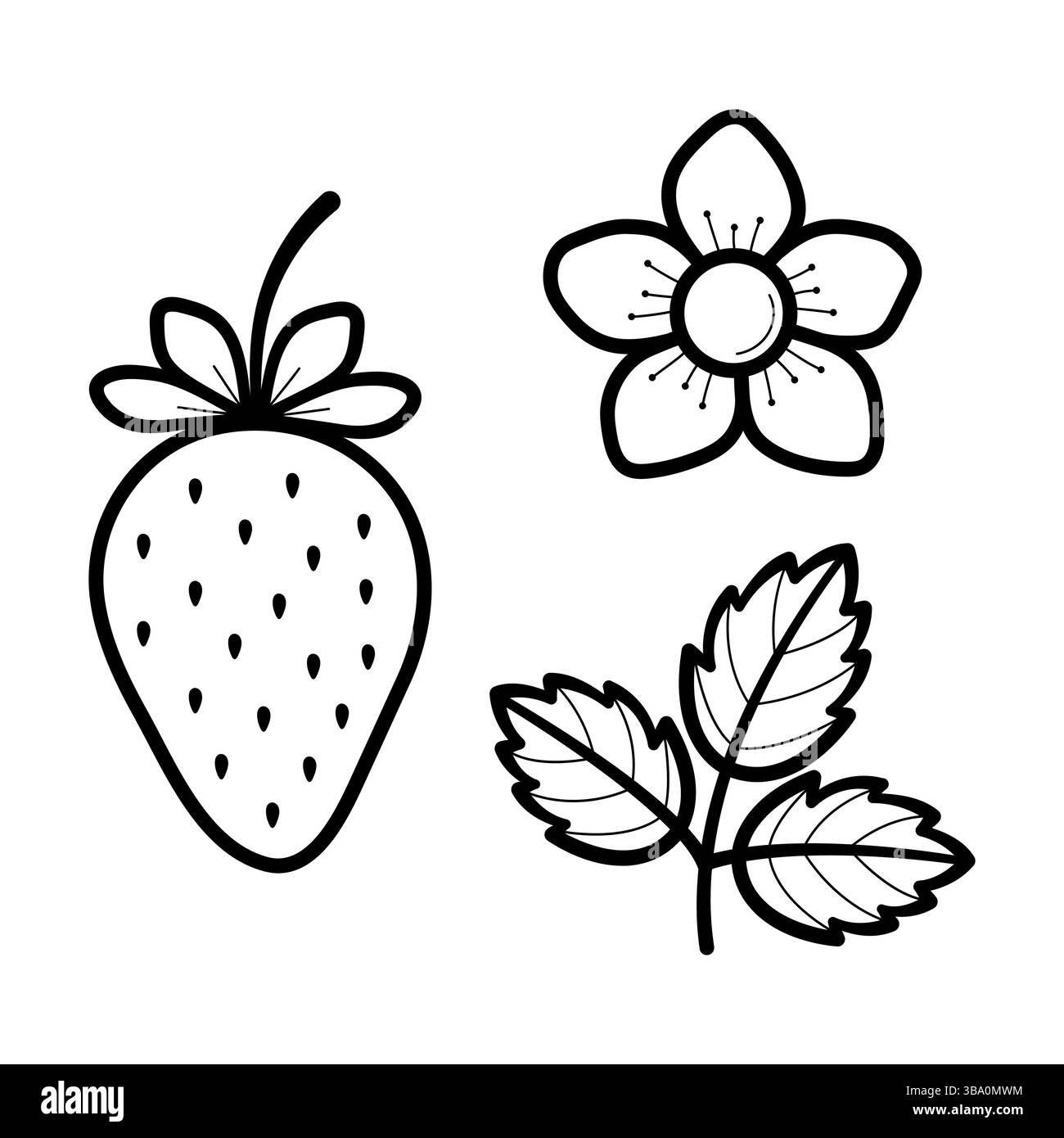 Set of strawberries. Berry, flower and leaf in doodle line style. Hand ...