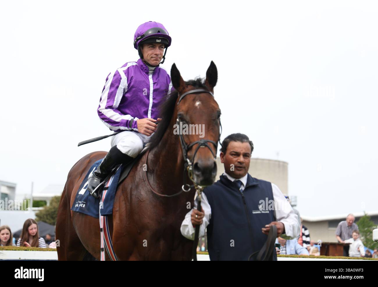 Delacroix ridden by Wayne Lordan after winning the Cashel Palace Hotel ...