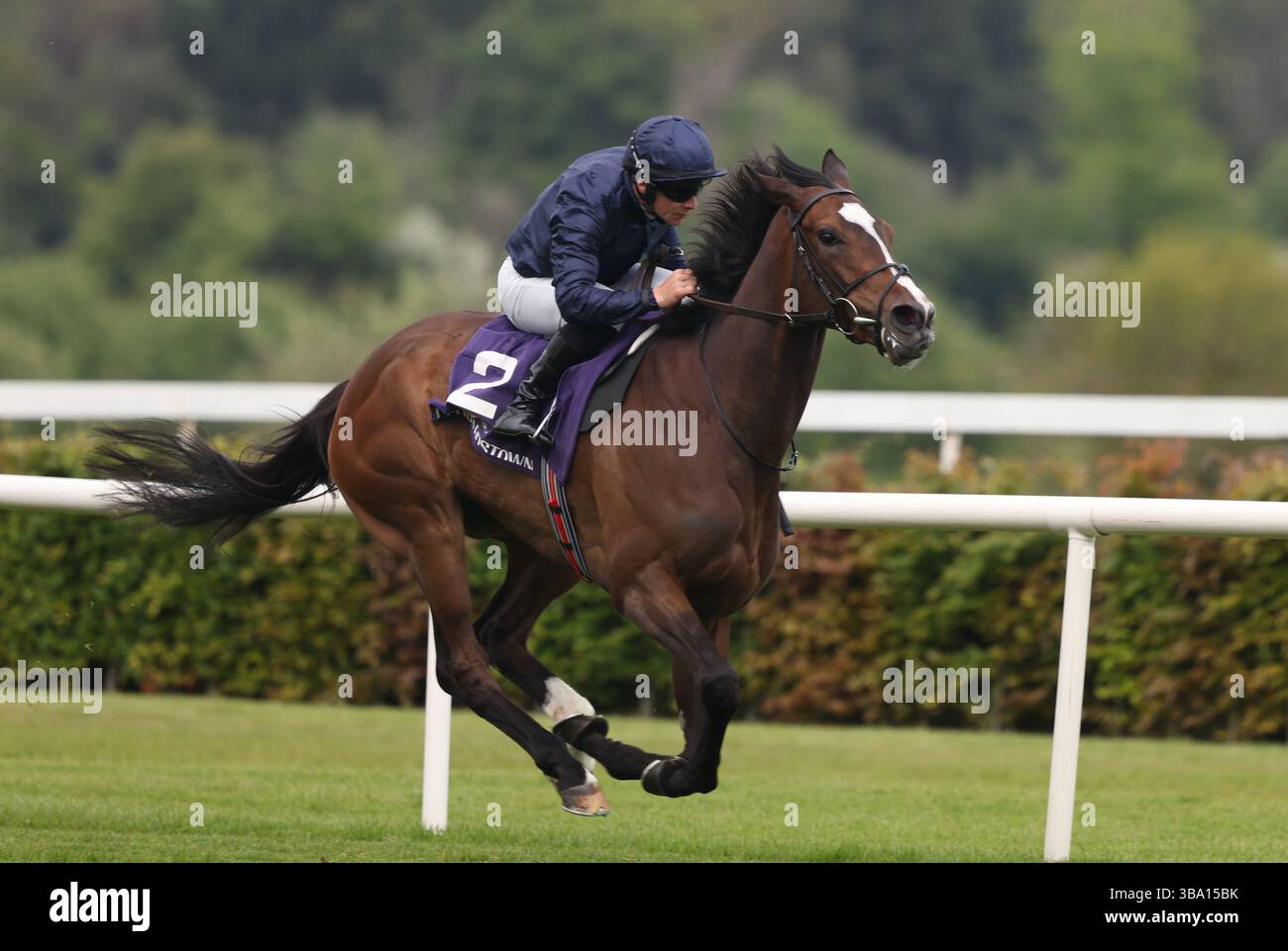 Butterfly Wings ridden by Wayne Lordan on their way to win the It's ...