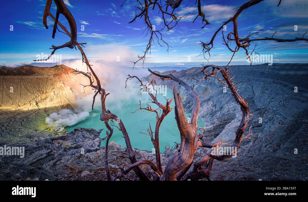 Kawah Ijen volcano with Dead trees on blue sky background in Java ...