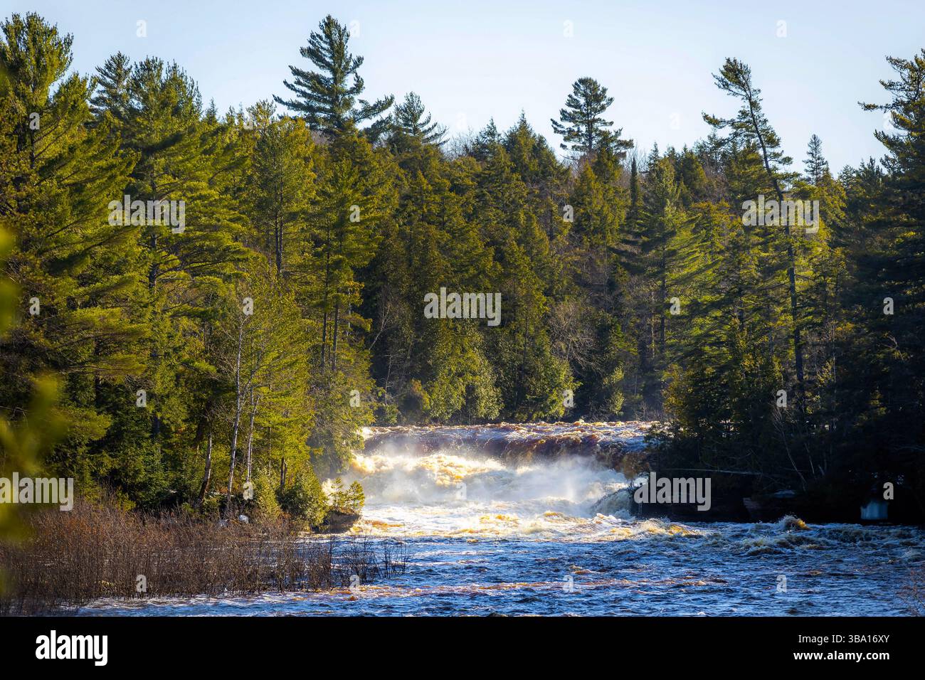 Photo of Tahquamenon Lower Falls in Michigan with multiple cascades and ...