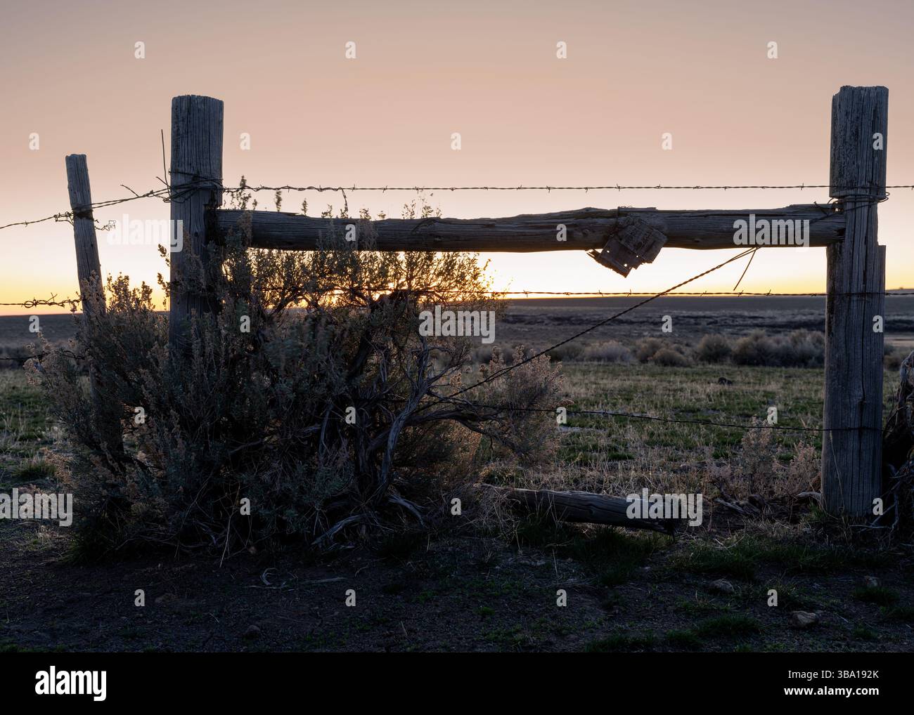 Agriculture barbed wire fence and farm weeds Stock Photo - Alamy