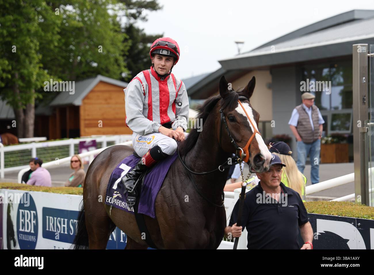 Cloud Seeker ridden by Andrew Slattery after winning the Leopardstown ...