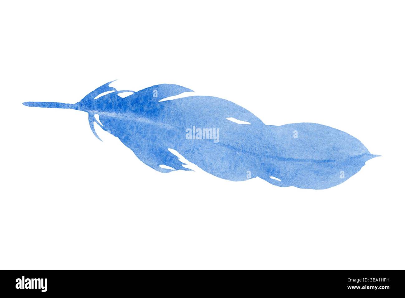 Watercolor illustration of a long disheveled blue bird feather Stock ...