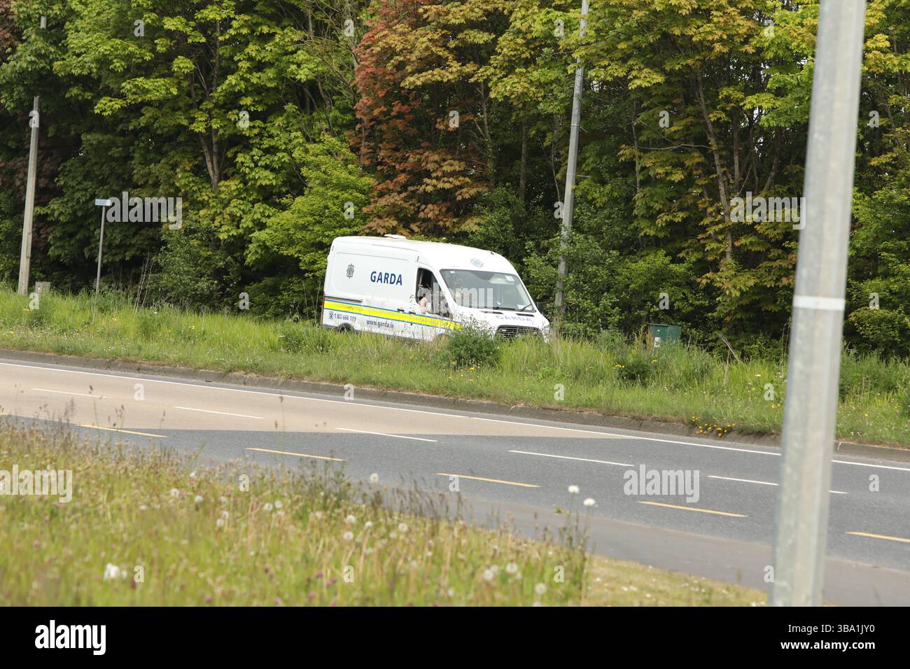 The scene on the R132 at Lanestown after Irish police officer Kevin ...