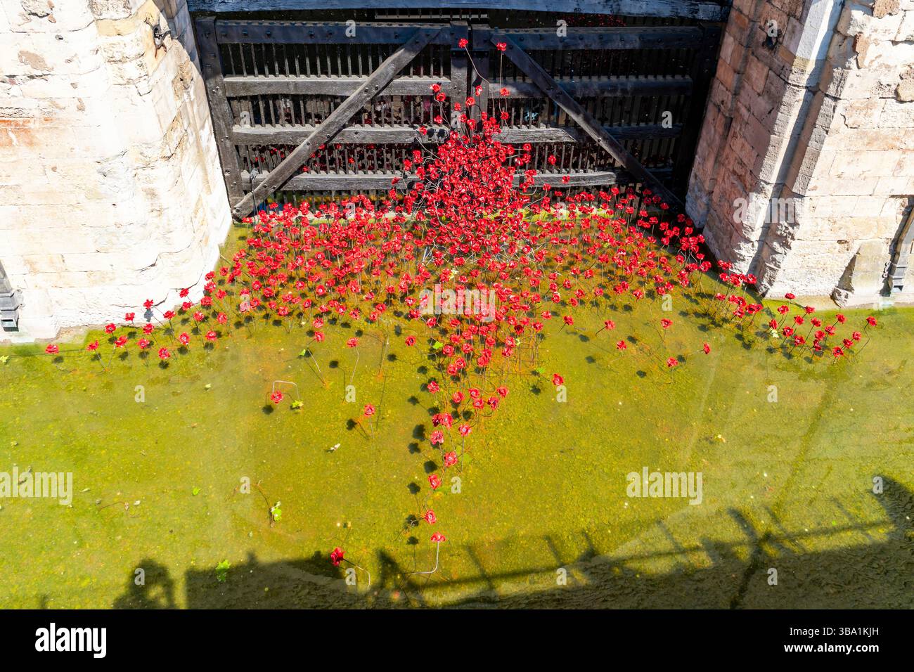 LONDON, UK - MAY 11, 2025: The commemorative display of ceramic poppies ...