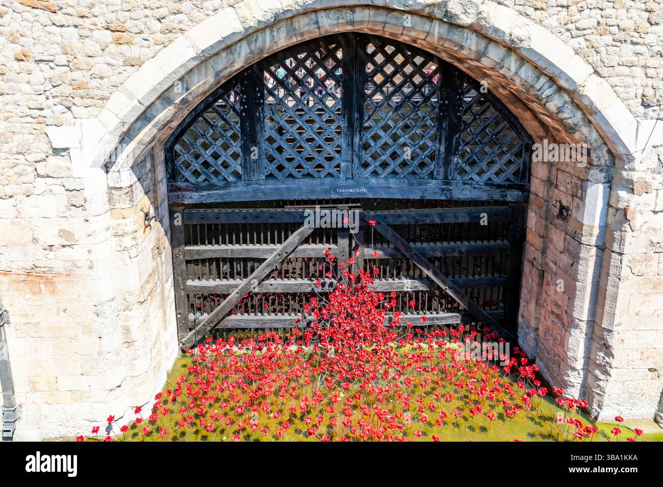 LONDON, UK - MAY 11, 2025: The commemorative display of ceramic poppies ...