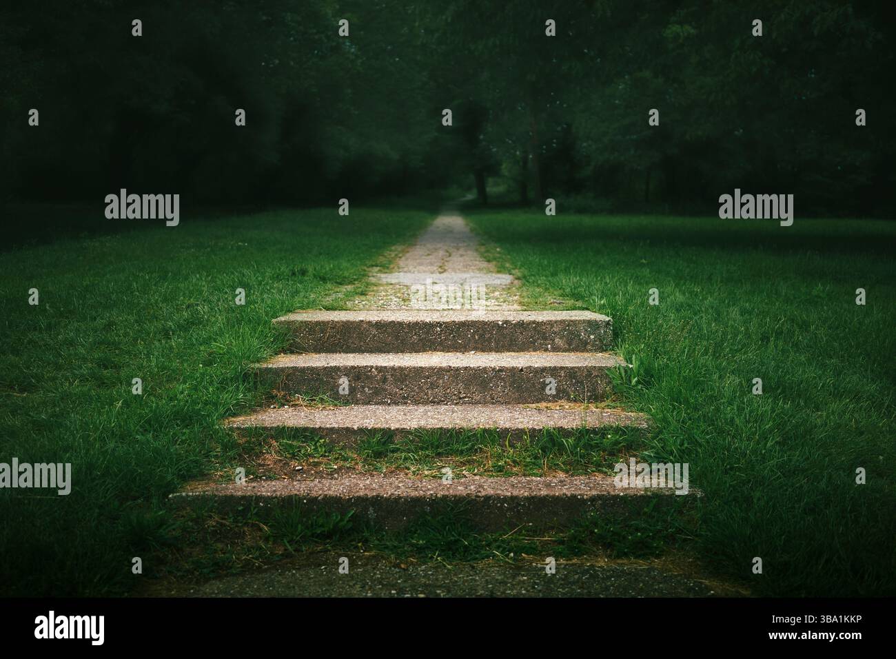 Details from the park, 4 steps and a path into a large dark forest ...