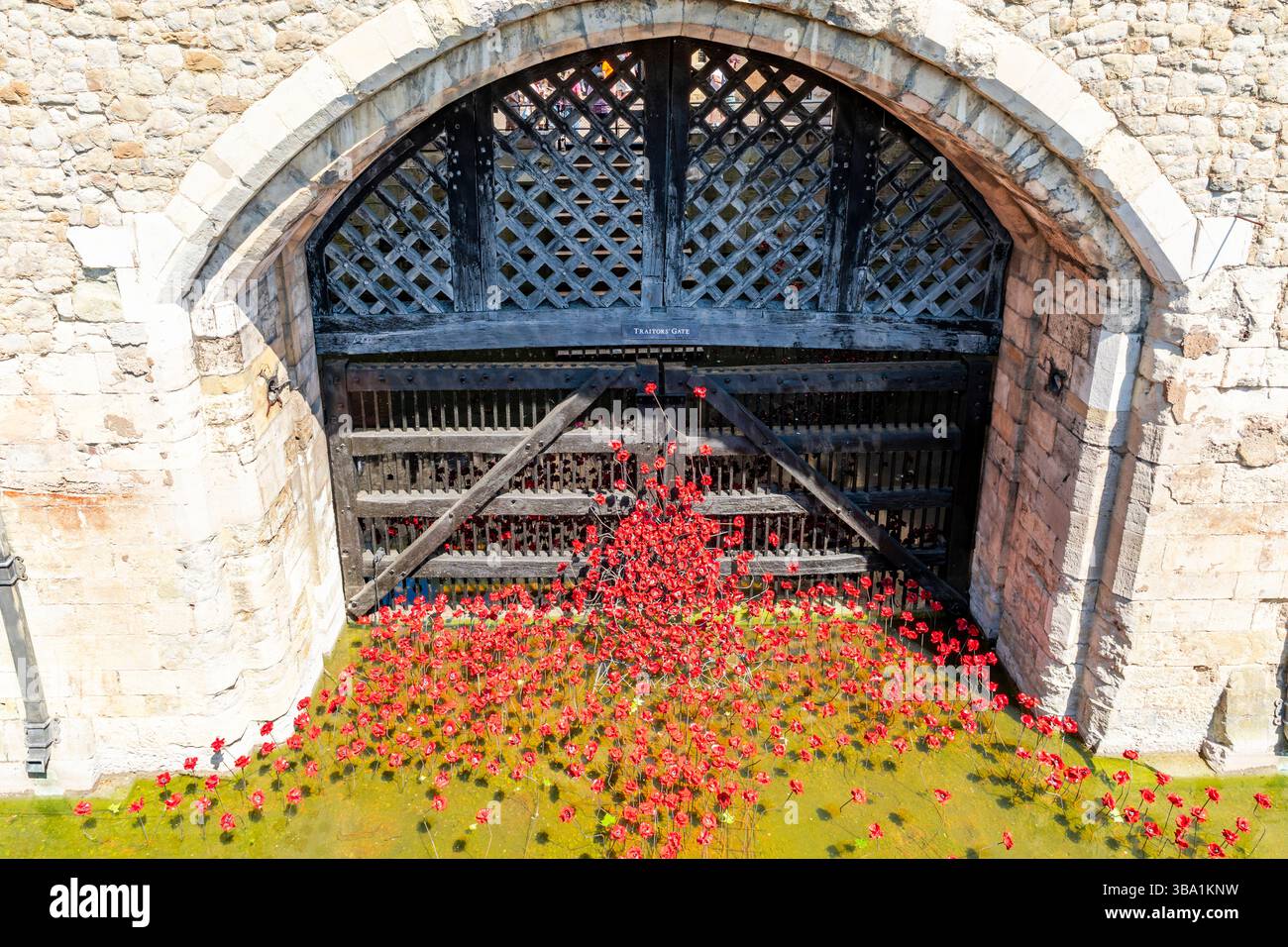 LONDON, UK - MAY 11, 2025: The commemorative display of ceramic poppies ...