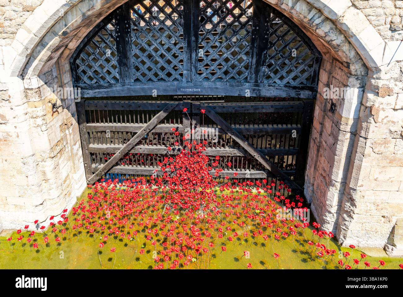 LONDON, UK - MAY 11, 2025: The commemorative display of ceramic poppies ...