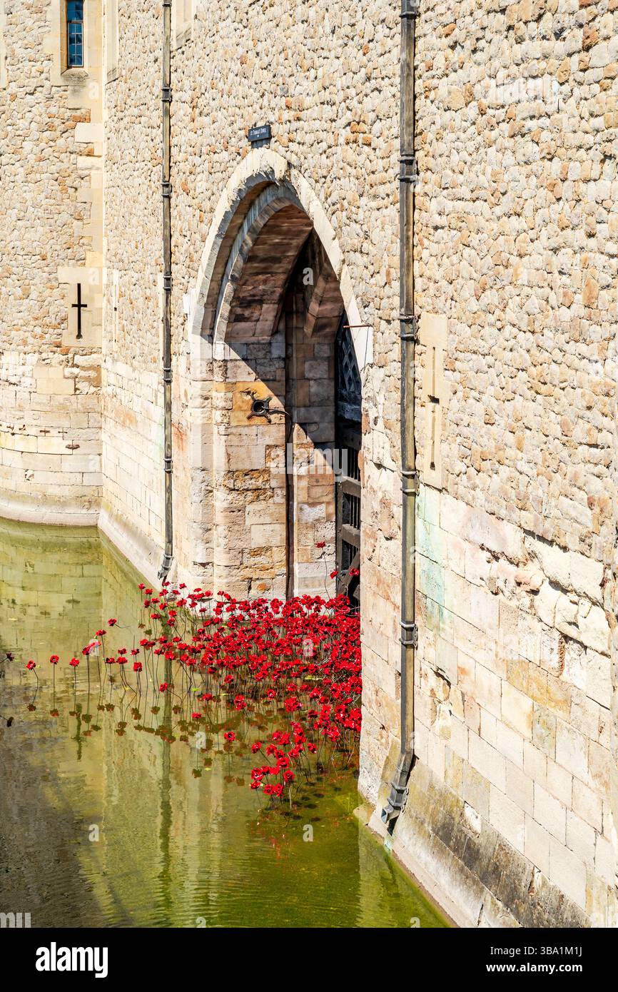 LONDON, UK - MAY 11, 2025: The commemorative display of ceramic poppies ...