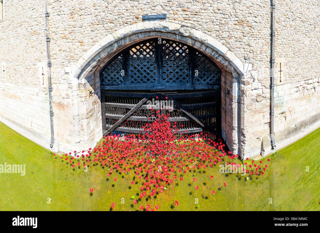 LONDON, UK - MAY 11, 2025: The commemorative display of ceramic poppies ...