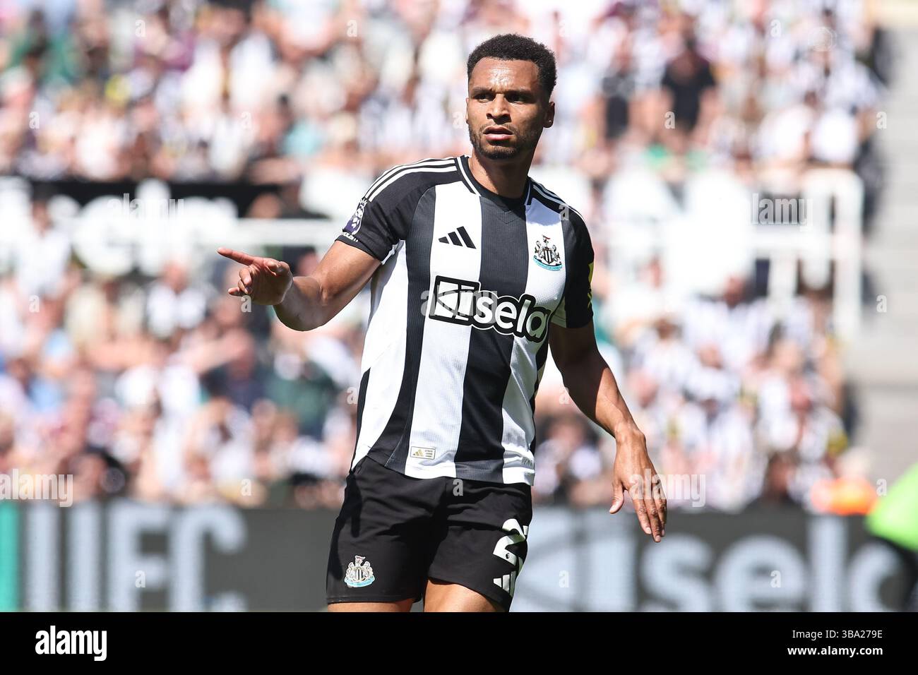 Newcastle United's Jacob Murphy during the Premier League match between ...