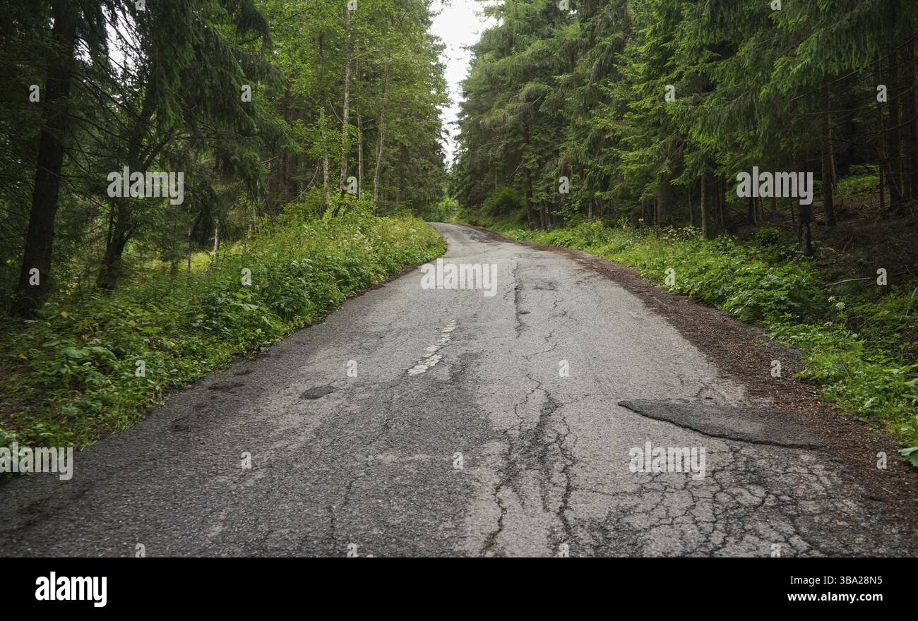 Worn paths grass hi-res stock photography and images - Alamy