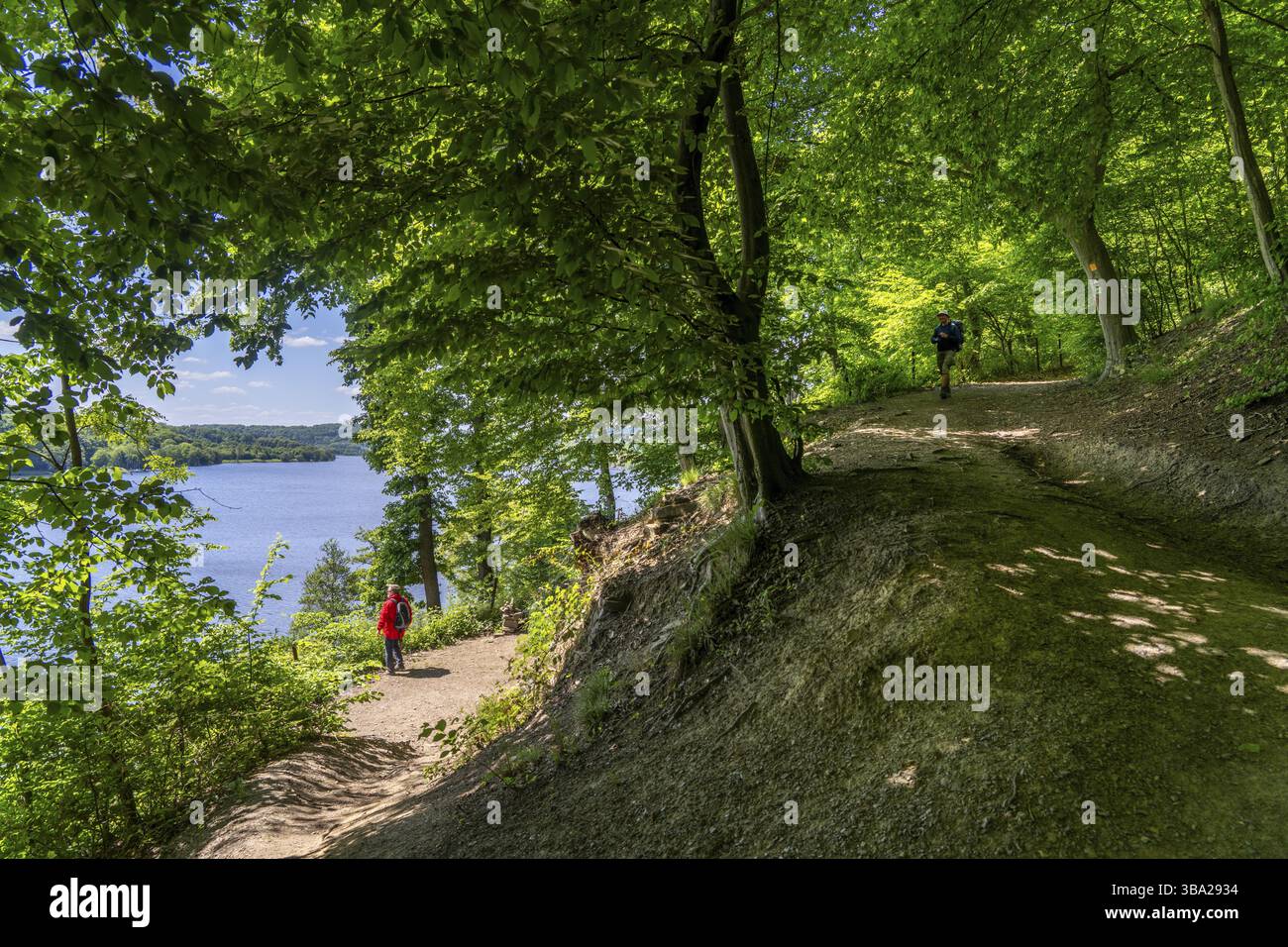 Hiking on the Baldeneysteig hiking trail in Essen, 26, 7 km around Lake ...