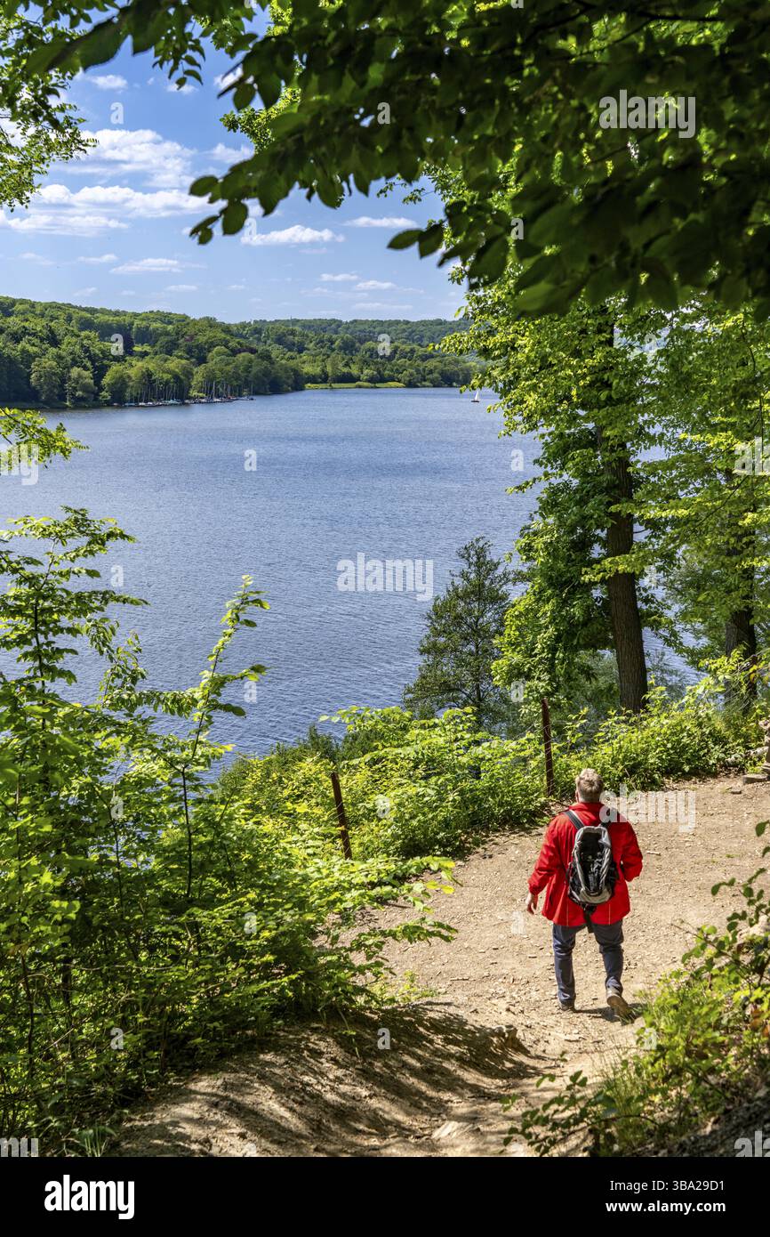 Hiking on the Baldeneysteig hiking trail in Essen, 26, 7 km around Lake Baldeney, and at the ...