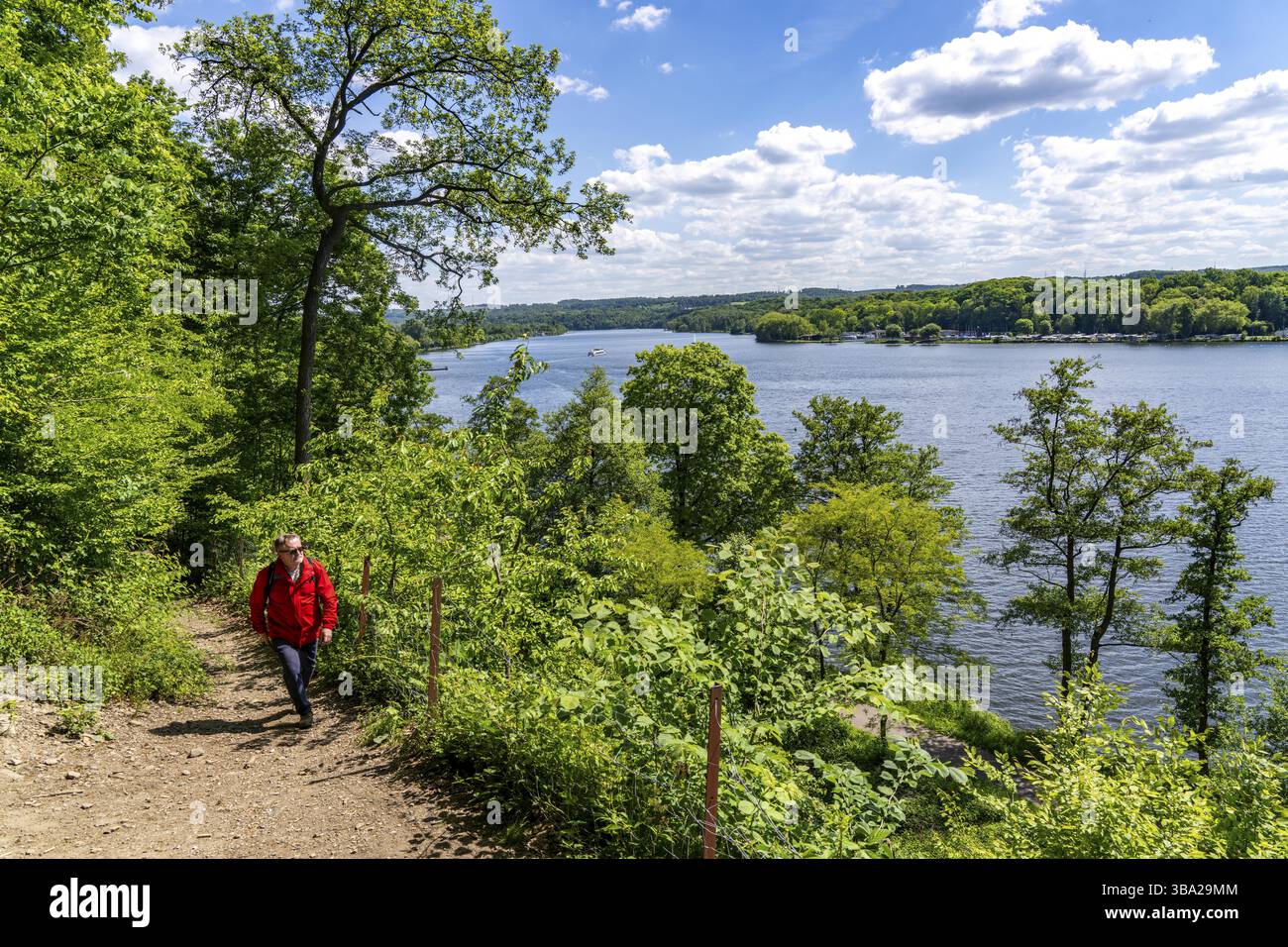 Hiking on the Baldeneysteig hiking trail in Essen, 26.7 km around Lake ...